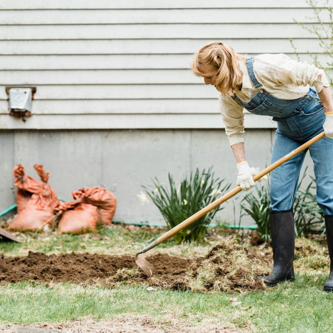 Février au jardin : que planter et tailler pour un printemps luxuriant ...